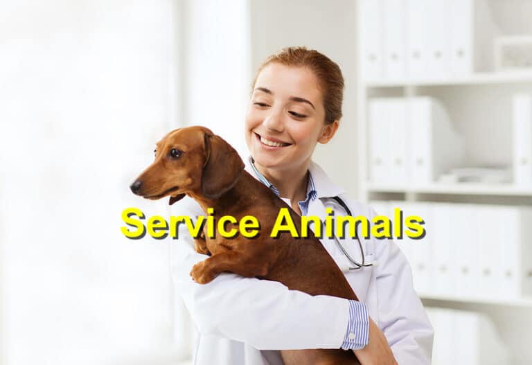 Martin Luther King Jr. Day: Honoring the Contributions of Service ...