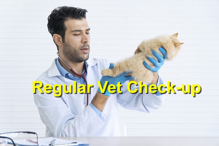 The Importance of Regular Vet Check-Ups for Your Pet - Emergency Animal ...
