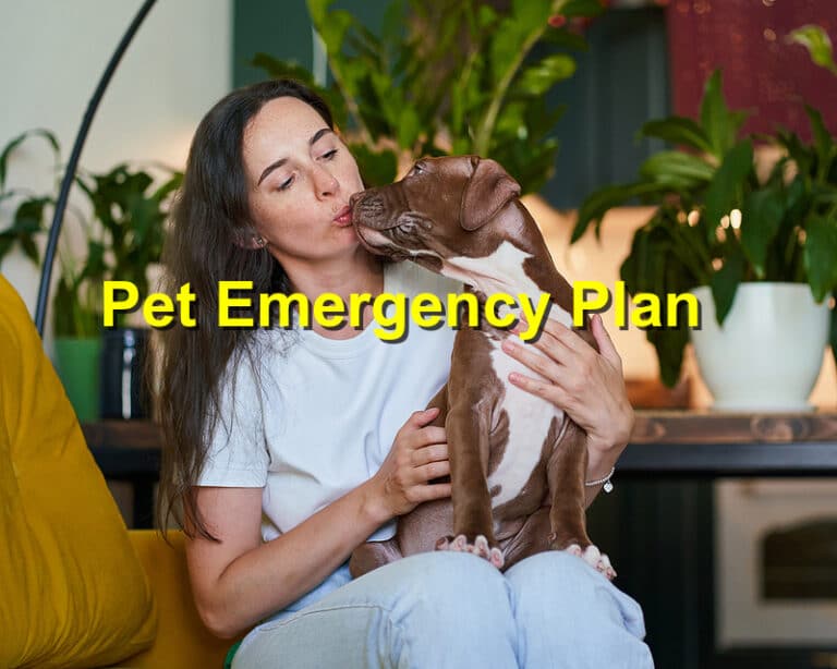 How to Create a Pet Emergency Plan for your Furry Friend - Emergency ...